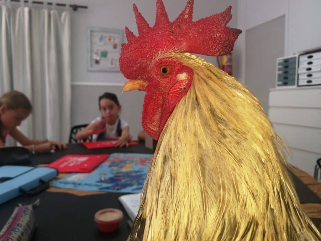 VISITA SORPRESA - Amanda Loveday - Language services